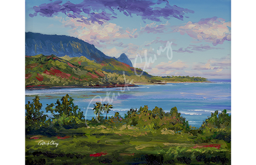 Hanalei Bay Watch | Patrick Ching