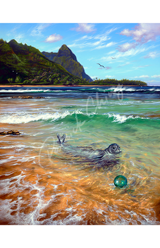 Haena Glass | Patrick Ching