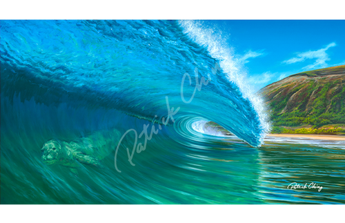 Sandy's Seal | Patrick Ching