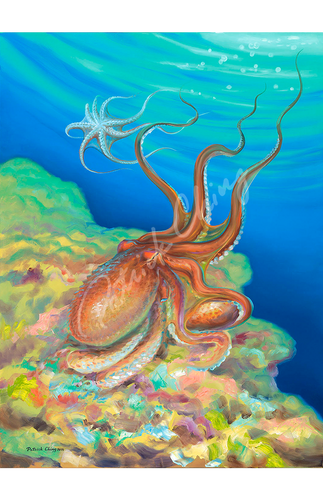 Sliding Into Light | Patrick Ching