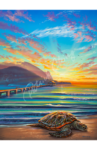 Honu Sunset - Hanalei | Patrick Ching