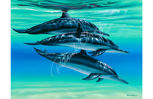 Fluid Grace | Patrick Ching