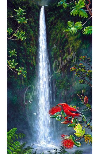 Akaka Falls ʻIʻiwi | Patrick Ching