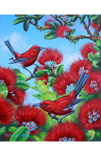 ʻApapane Lehua | Patrick Ching