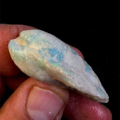 Opal Fossil Mussel Shell $300 | Unearthed Aust Opal