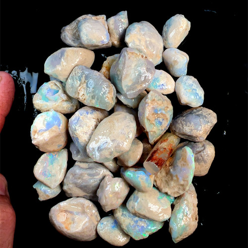 Opalised Shell Fossil Parcel $1200 | Unearthed Aust Opal