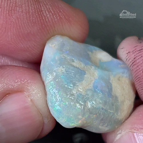 Opalised Shell $200 | Unearthed Aust Opal
