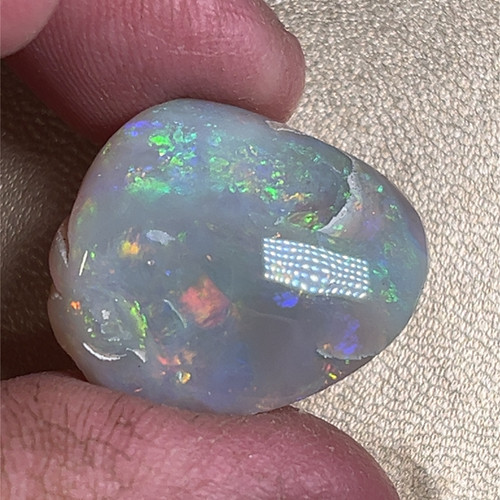 Full Opalised Shell Fossil $1400 | Unearthed Aust Opal