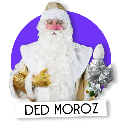 Ded Moroz Gold | My Party Zebra