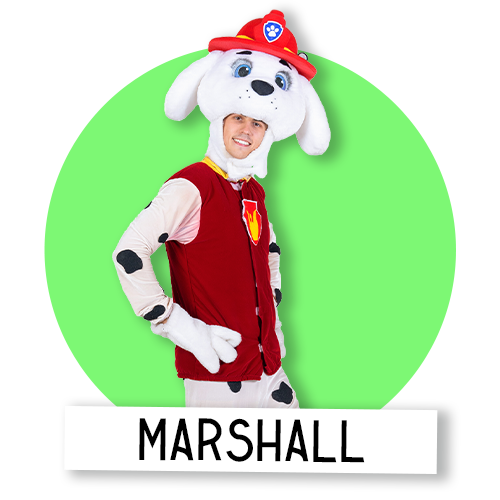 Marshall | My Party Zebra
