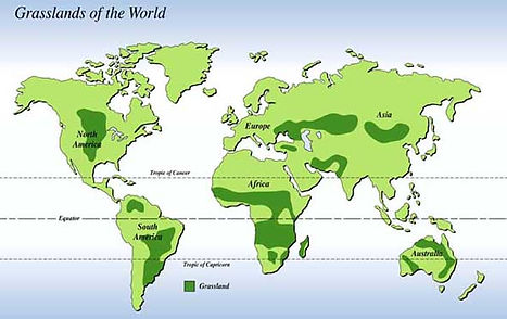 Map of the Biome | prairie