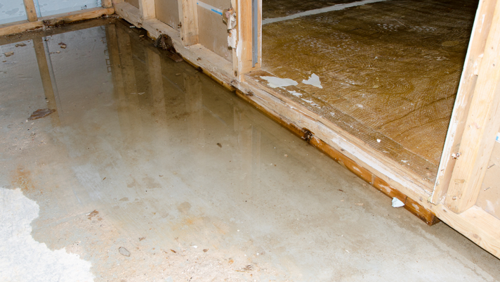 Services | Crawls and Basement Renovations