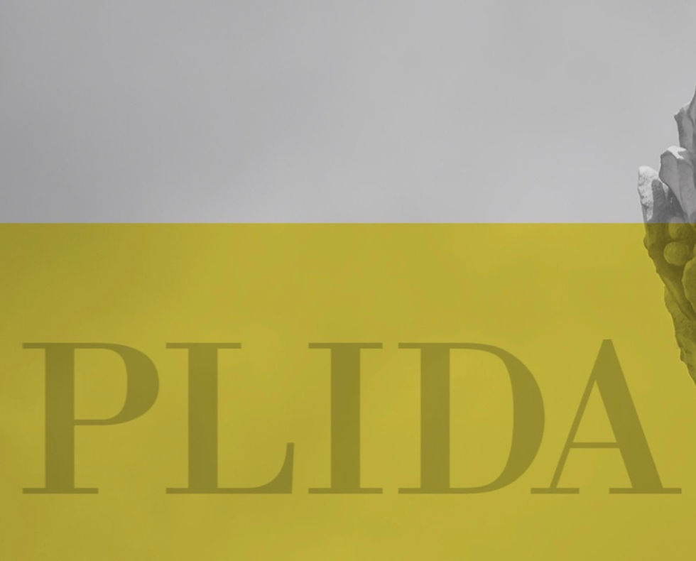 PLIDA | SDA MIAMI