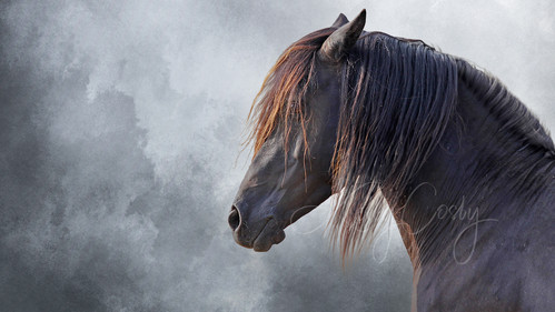 Smoke & Fire | Kelly Cosby Photogra