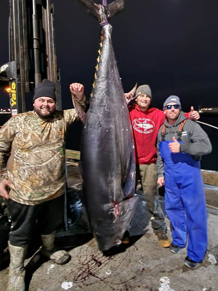 Boston Fishing Charters | Boston Harbor Fishing | Fishbucket Sportfishing