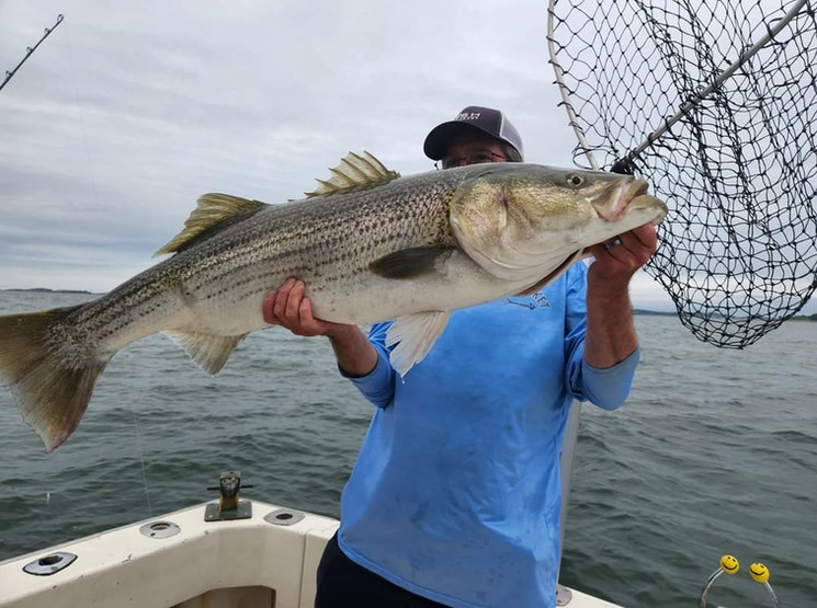 Boston Fishing Charters | Boston Harbor Fishing | Fishbucket Sportfishing