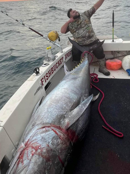 Boston Fishing Charters | Boston Harbor Fishing | Fishbucket Sportfishing