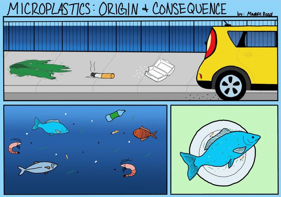 Microplastics Formation