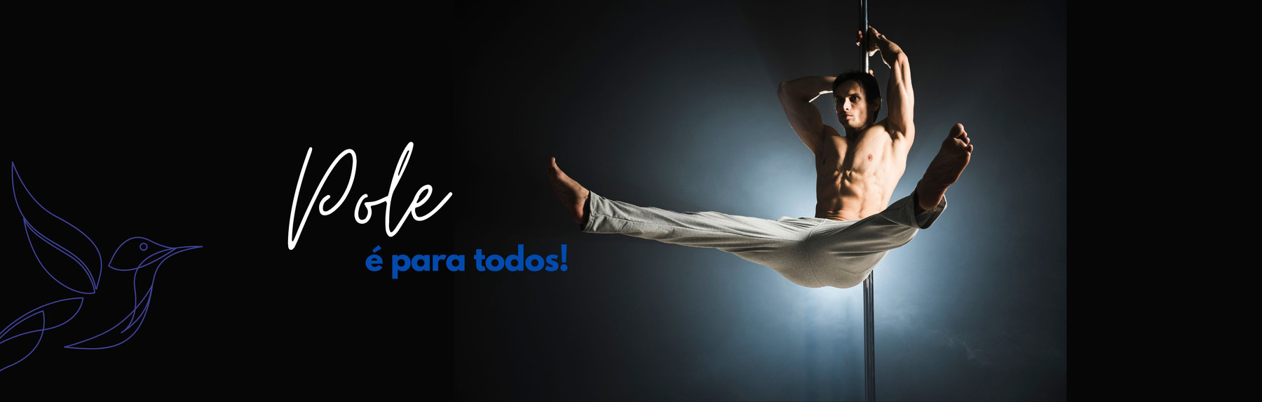 ALI FITNESS Barras de Pole Dance e Artigos Esportivos