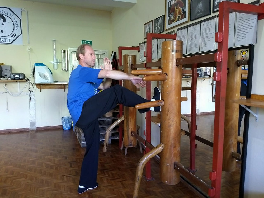 AS FORMAS DO WING CHUN