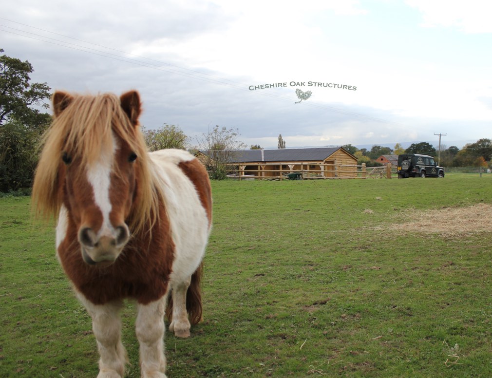 Oak Stables | cheshire