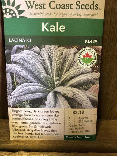 Kale Lancinato - West Coast Seed | carletonplacenursery