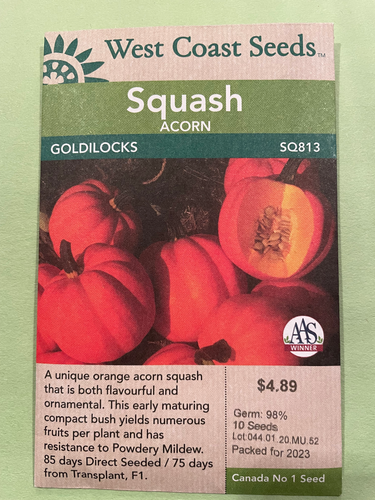 Squash Acorn Goldilocks - West Coast Seed | carletonplacenursery
