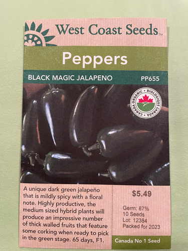 Pepper Black Magic Jalepeno - West Coast Seed | carletonplacenursery