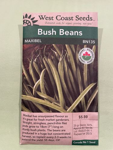 Bean Maxibel - West Coast Seed | carletonplacenursery