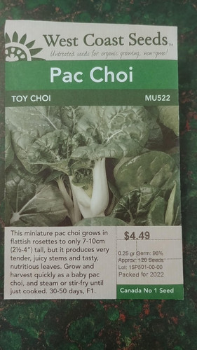 Pac Choi Toychoi - West Coast Seed | carletonplacenursery