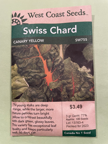 Swiss Chard Canary Yellow - West Coast Seed | carletonplacenursery