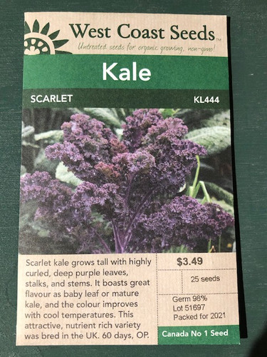 Kale Scarlet - West Coast Seed | carletonplacenursery