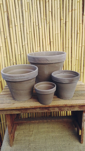 Clay Pot Basalt (Select Size) | carletonplacenursery