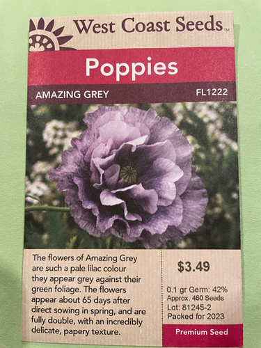 Poppies Amazing Grey - West Coast Seed | carletonplacenursery