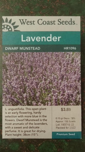 Lavender Dwarf Munstead - West Coast Seed | carletonplacenursery