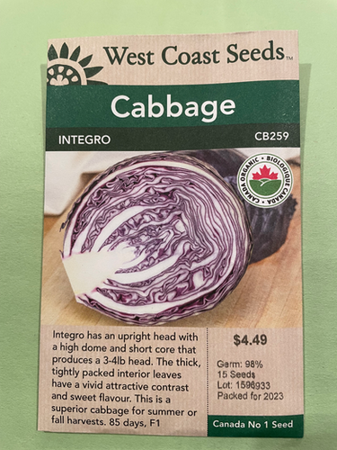 Cabbage Integro - West Coast Seed | carletonplacenursery