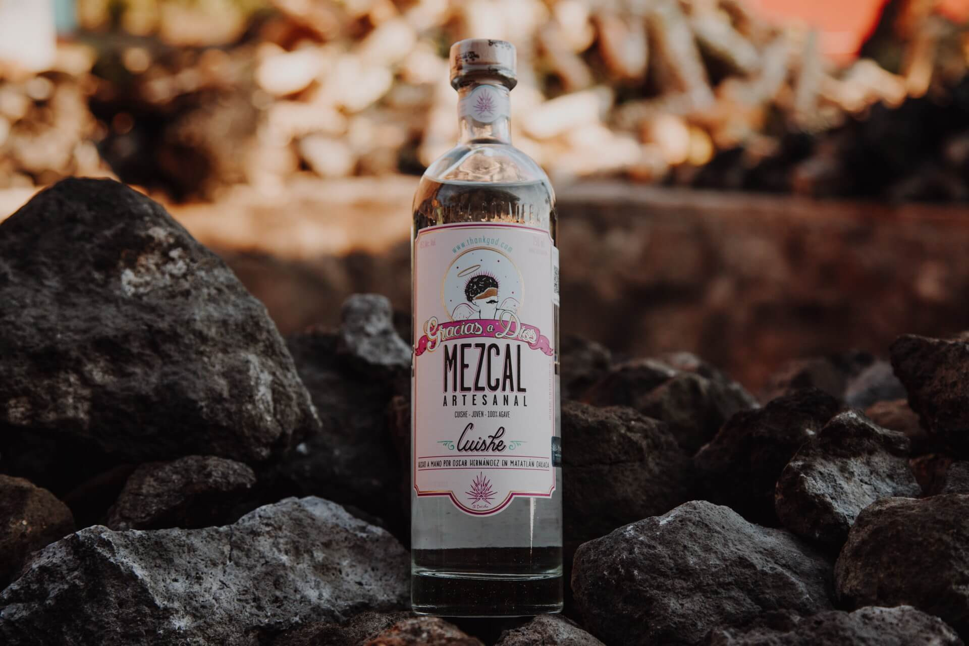 Tour - Gracias a Dios Mezcal in Matatlán | OaxacaLendingLibrary
