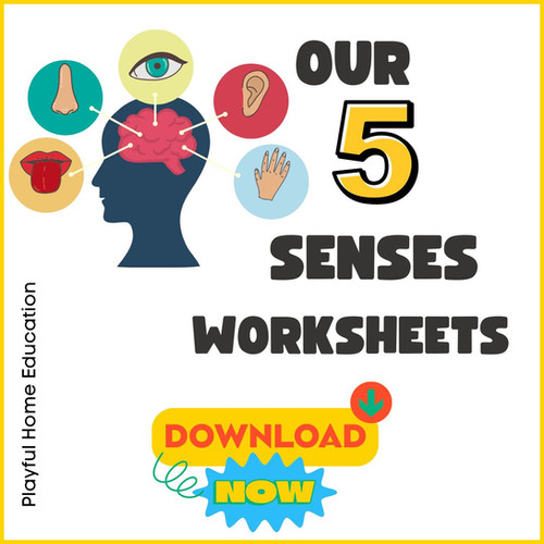 Our Five Sense Organs Worksheet | PlayfulHomeEducation