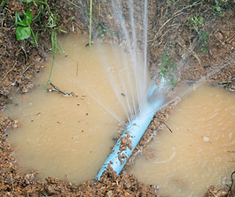 Irrigation Systems Brisbane | Irrigation Group
