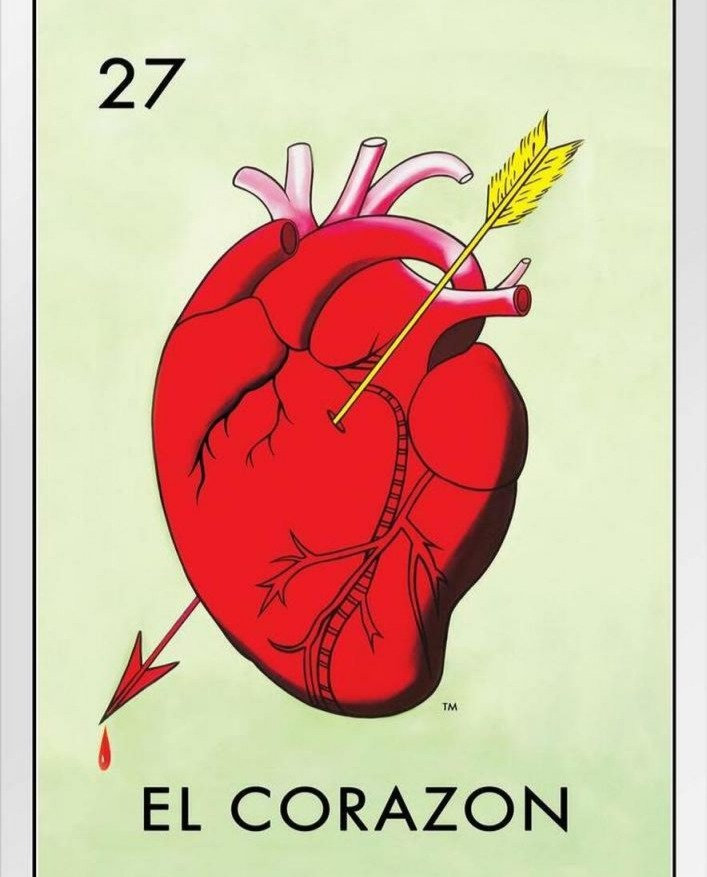 BLADE ANATOMY - HEART