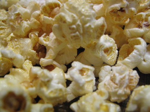 Original Kettle Corn | MooseHeadKettleCorn