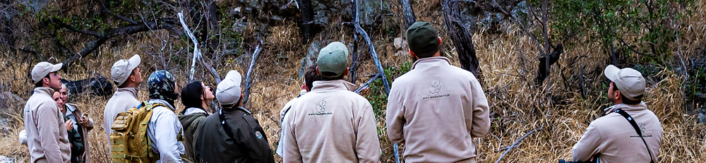 Exciting Moments in the Bush | Read Bushwise Blogs