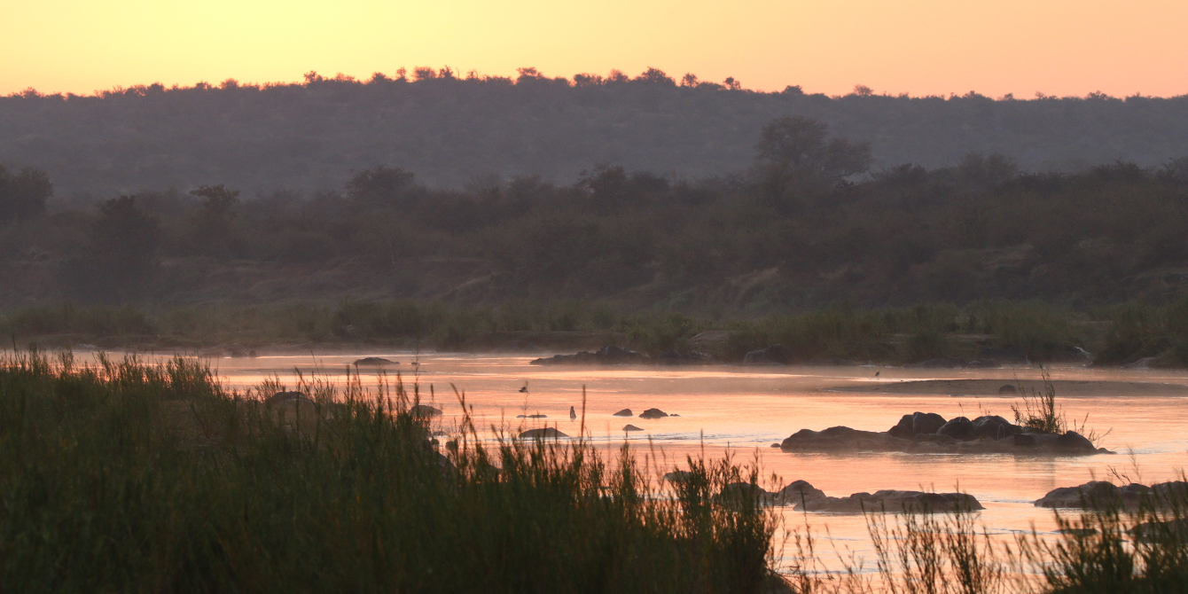 Snapshot of Chobe National Park and the Central Kalahari Game Reserve