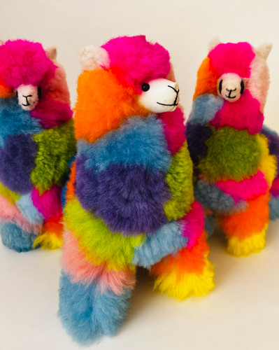 Rainbow Alpaca | AmorinkaPeru