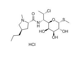 Clindamycin Hydrochloride API Manufacturer | Supplier | Exporter