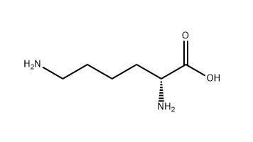 D-Lysine | CAS 923-27-3 Manufacturer | Supplier | Provider