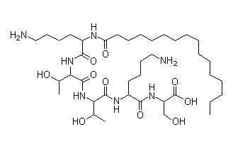Palmitoyl Pentapeptide-4 Manufacturer | Supplier | Provider