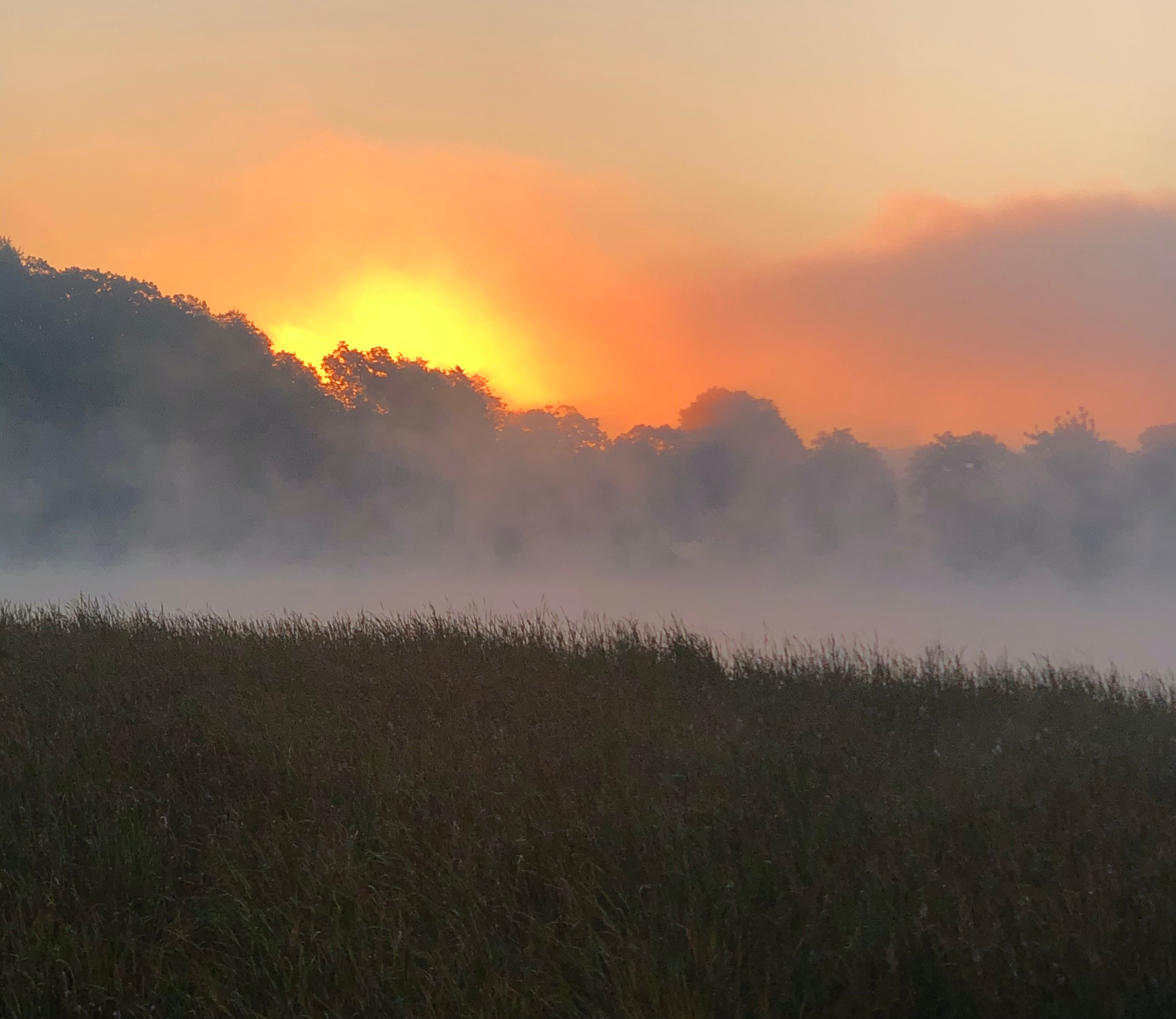 Books | James Lowell Hall