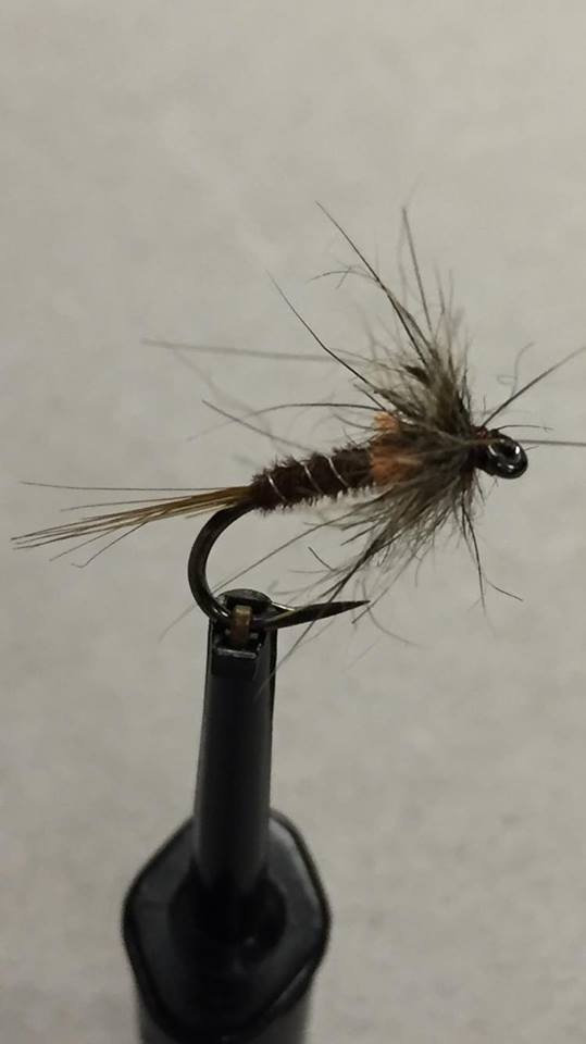 Fly Tying Competition (Members Only)