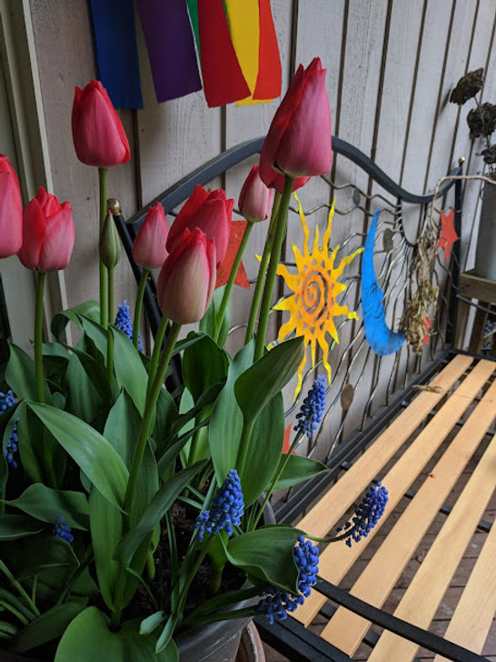 Spring Equinox approaches, celebrate with flowers